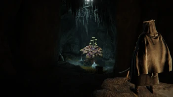 Perfumer's Grotto | Elden Ring Wiki | Fandom