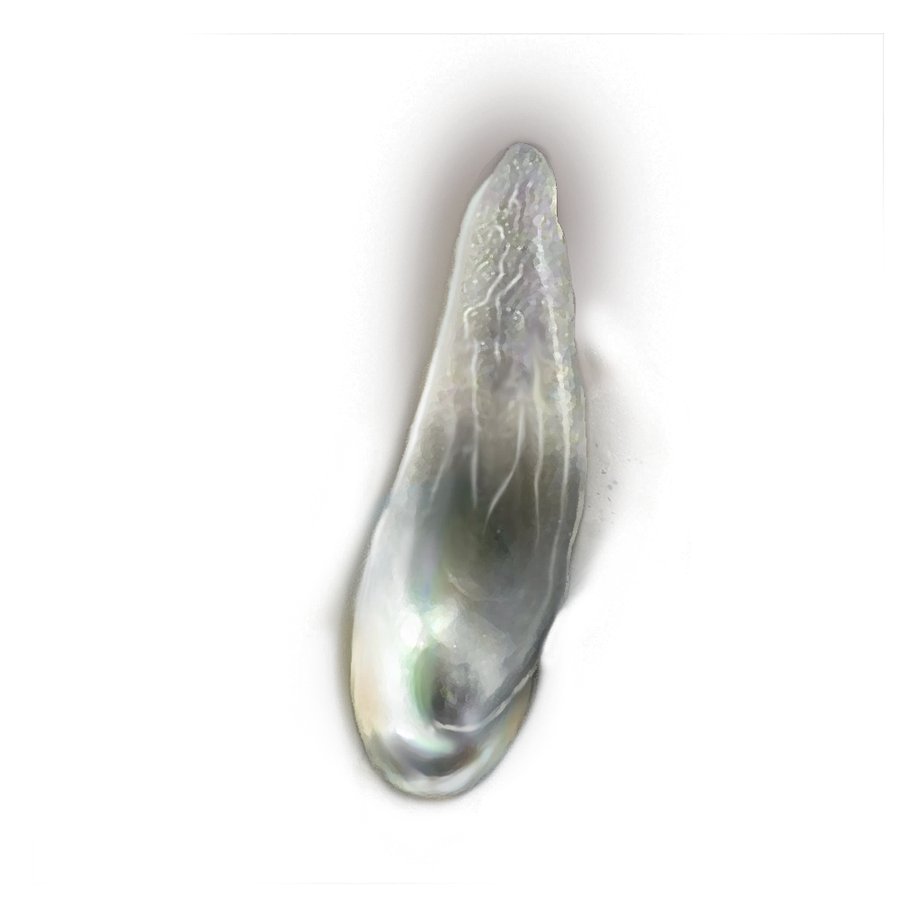 Pearlescent Scale | Elden Ring Wiki | Fandom