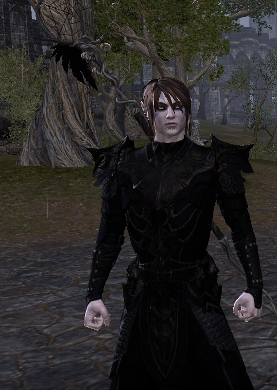 Kyrin Mneme | The Elder Scrolls Sandbox | Fandom