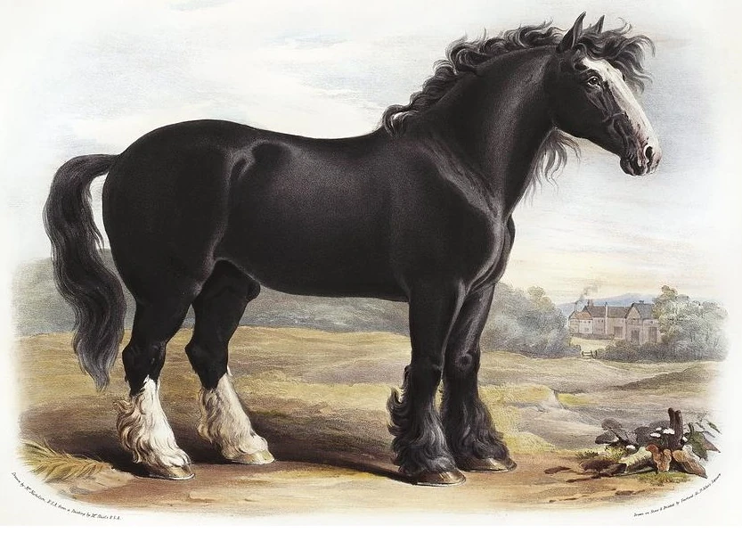 Melanie | The Elder Scrolls Sandbox | Fandom