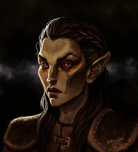 Aerissa | The Elder Scrolls Sandbox | Fandom