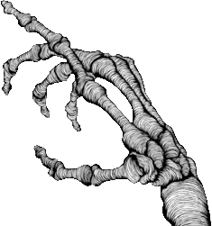 Order of the Skeletal Hand | The Elder Scrolls Sandbox | Fandom