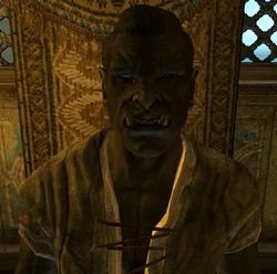 Gorum gro-Balg | The Elder Scrolls Sandbox | Fandom
