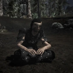 Aelwin Hawksly | The Elder Scrolls Sandbox | Fandom