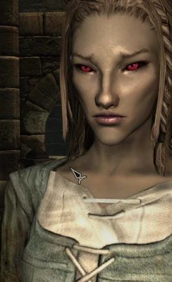 Mediisi Tedrovo, The Hero of Daggerfall | The Elder Scrolls Sandbox | Fandom