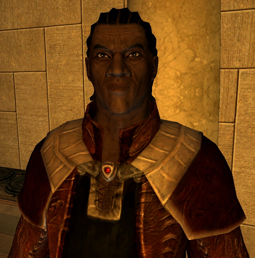 Category:Redguards | The Elder Scrolls Sandbox | Fandom