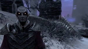 Helkarus Vultar | The Elder Scrolls Sandbox | Fandom