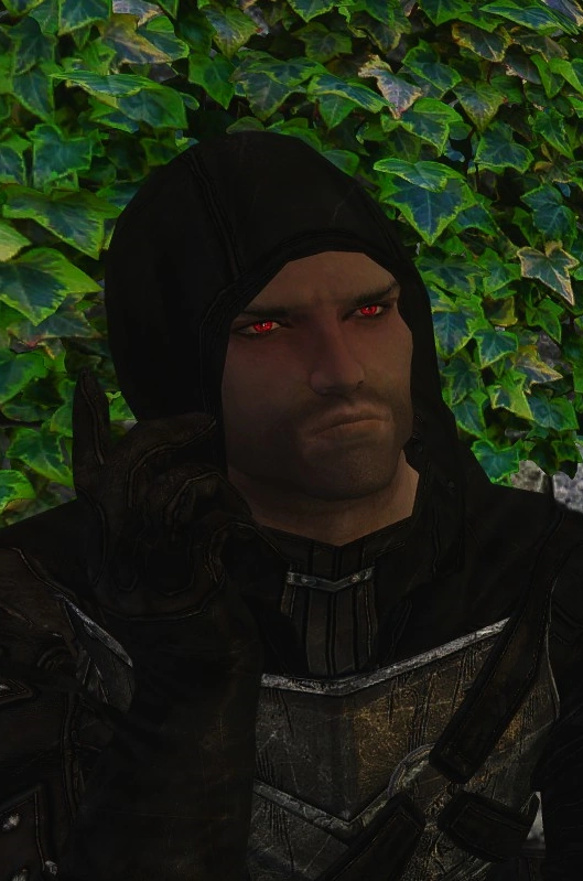 Naritin Nelthar | The Elder Scrolls Sandbox | Fandom