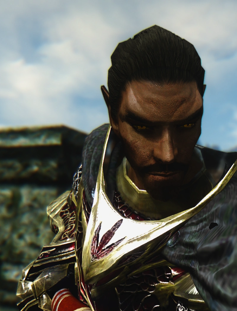 Andurin Nemanil | The Elder Scrolls Sandbox | Fandom