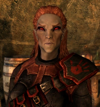 Irileth | The Elder Scrolls Sandbox | Fandom