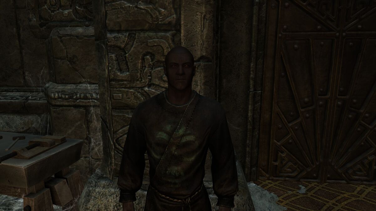 Reagon The Elder Scrolls Sandbox Fandom