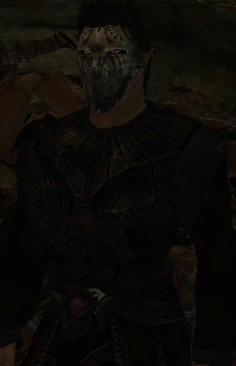 Naerion Nelthar | The Elder Scrolls Sandbox | Fandom