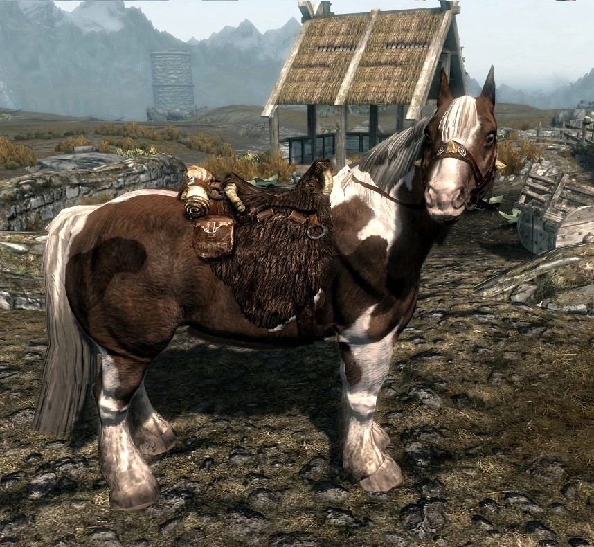 Affa | The Elder Scrolls Sandbox | Fandom