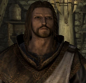 Arcturus Rienis | The Elder Scrolls Sandbox | Fandom