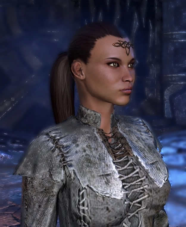 Aasi | The Elder Scrolls Sandbox | Fandom