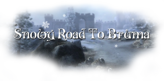 Snowy Road To Bruma | Elderscrolls Mod Wiki | Fandom