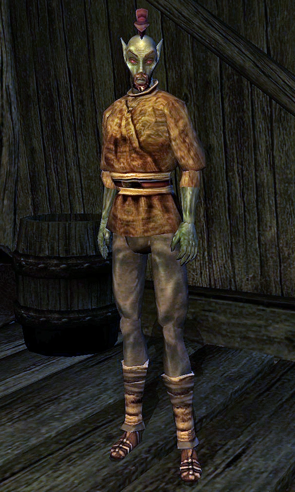 Endris Dilmyn | The Elder Scrolls Wiki | Fandom