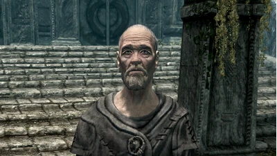 Discuss Everything About Elder Scrolls | Fandom