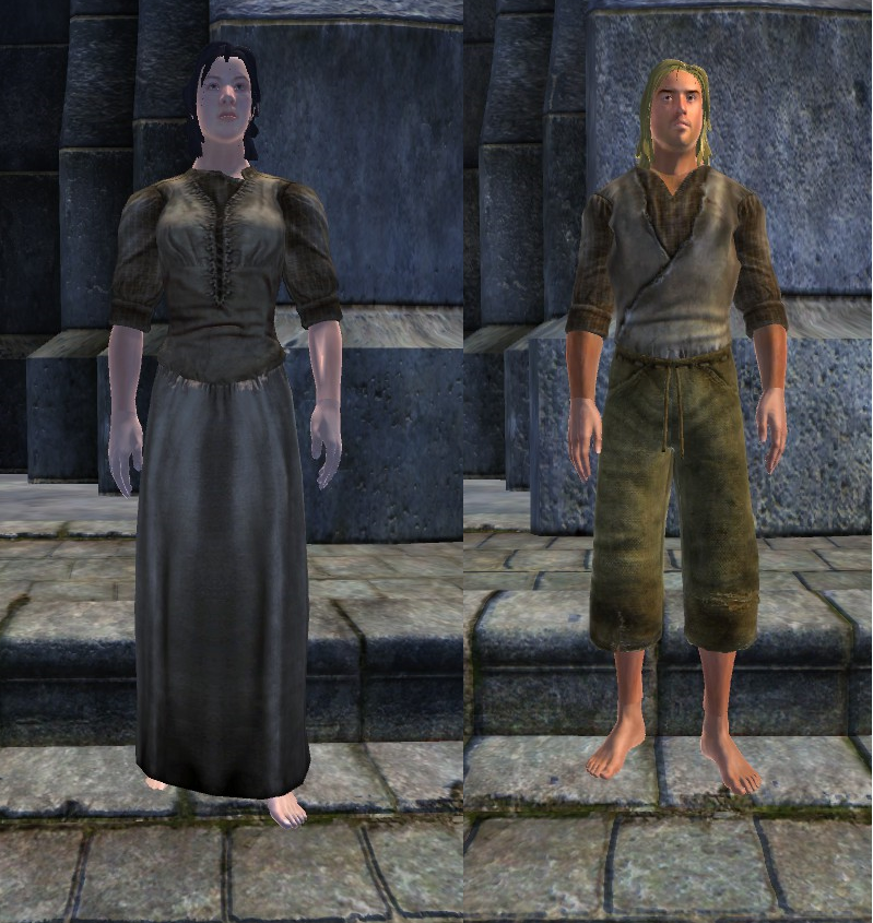 Грубая льняная рубашка The Elder Scrolls Wiki Fandom