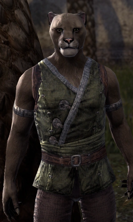 Eilam | Wiki The Elder Scrolls | Fandom