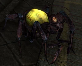 Elytra Nymph | Elder Scrolls | Fandom