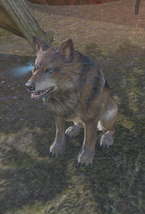 Glenmoril Guardian | Elder Scrolls | Fandom