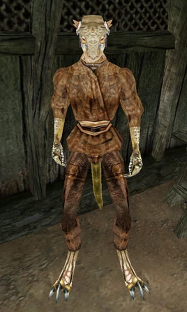 Okur | Elder Scrolls | Fandom
