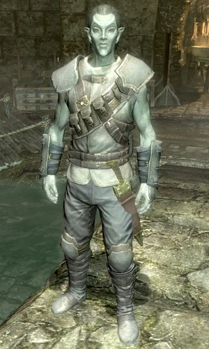 Ravyn Imyan | Elder Scrolls | Fandom