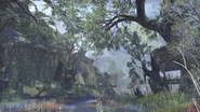 The Silent Halls | Elder Scrolls | Fandom