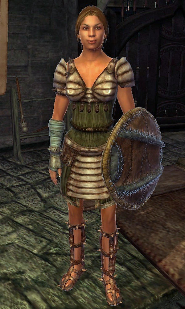 Yellow Team Combatant | Elder Scrolls | Fandom