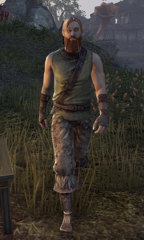 Kadord Stormheart | Elder Scrolls | Fandom