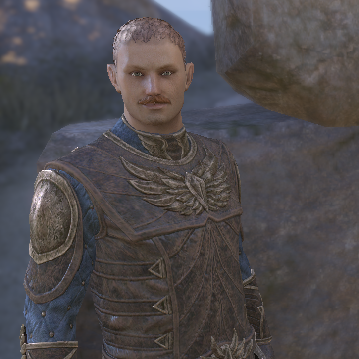 Дарроль Дальель The Elder Scrolls Wiki Fandom