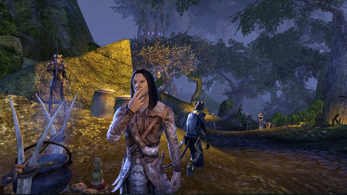 A Wedding to Attend | Elder Scrolls | Fandom