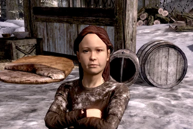 Puedo Tener Un Perro Callejero En Skyrim