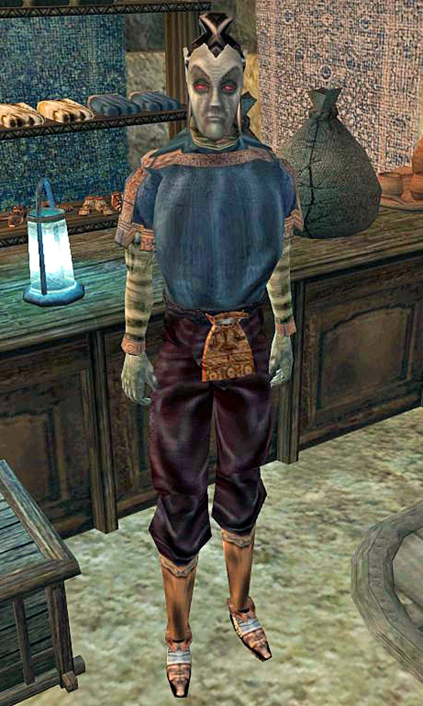 Gadayn Andarys | Elder Scrolls | Fandom