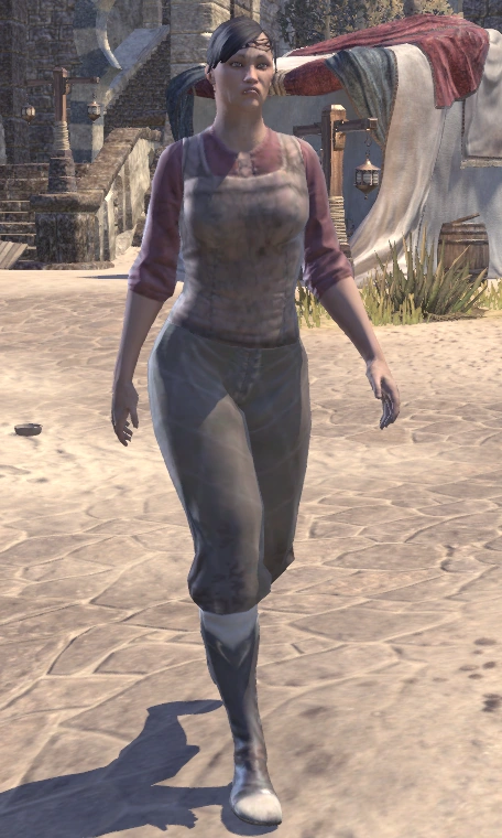 Peasant (Hallin's Stand) | Elder Scrolls | Fandom