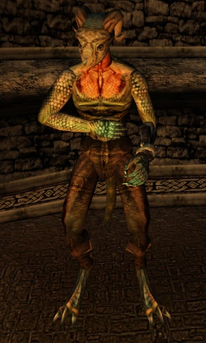 Tanan | Elder Scrolls | Fandom