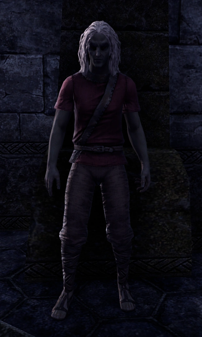 Villageois (Narsis) | Wiki The Elder Scrolls | Fandom