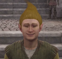 Adoring Fan (Oblivion) | Elder Scrolls | Fandom