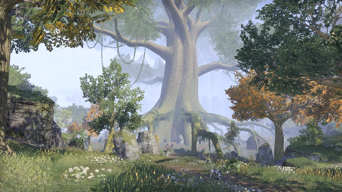 Beldama Wyrd Tree | Elder Scrolls | Fandom