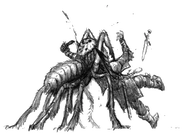 Frostbite Spider (Skyrim) | Elder Scrolls | Fandom