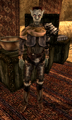 Nalis Gals | Elder Scrolls | Fandom