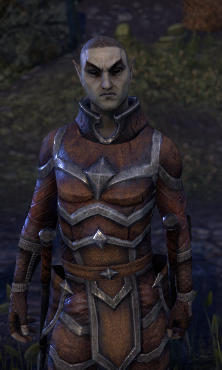 Maraudeur Mercenaire Wiki The Elder Scrolls Fandom