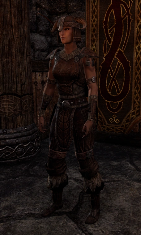 Rôdeur de Bruma | Wiki The Elder Scrolls | Fandom