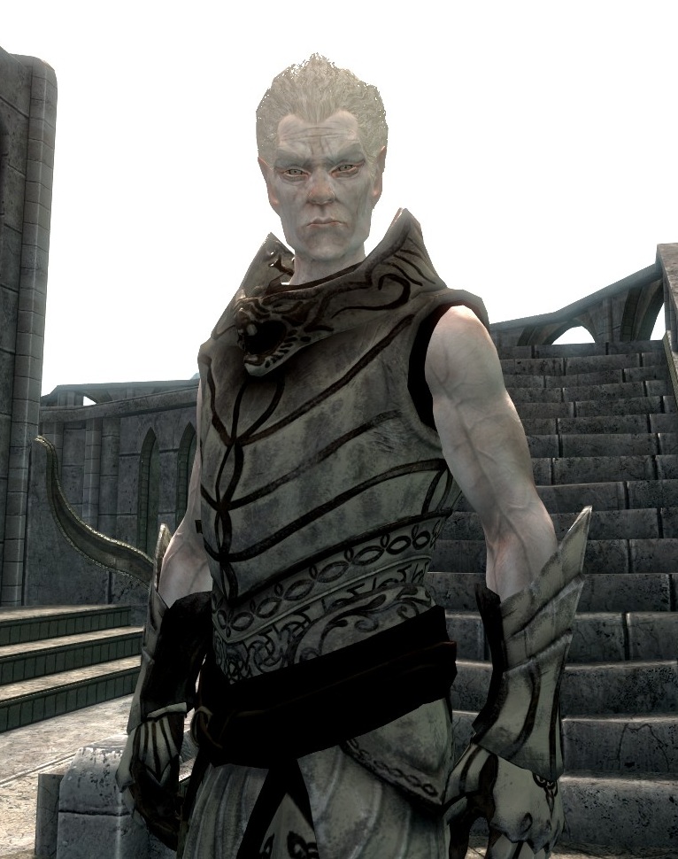 Снежный эльф The Elder Scrolls Wiki Fandom