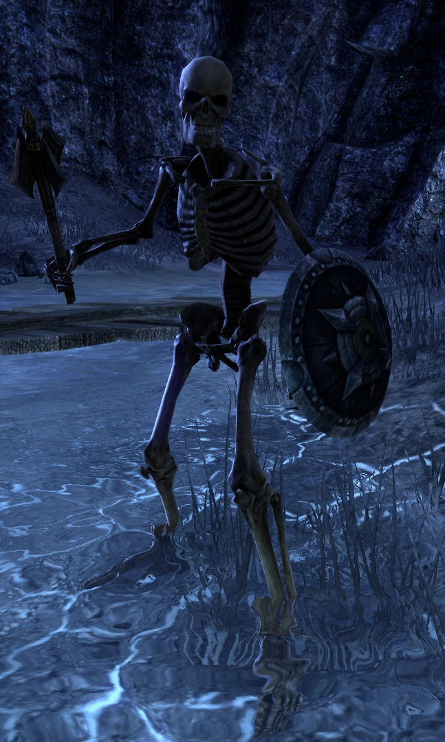 Brute squelette | Wiki The Elder Scrolls | Fandom