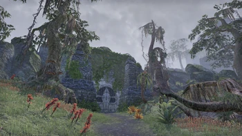 Cradle of Shadows | Elder Scrolls | Fandom