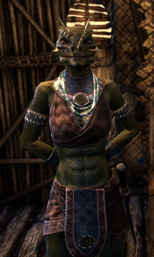 Neeti-Ra | Wiki The Elder Scrolls | Fandom