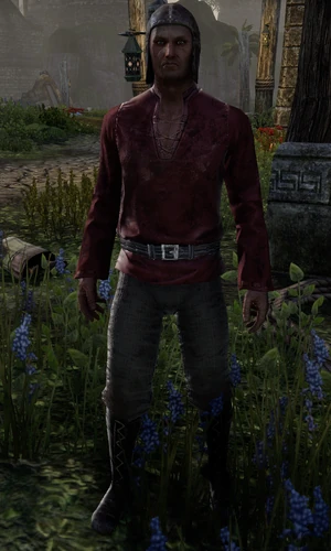 Ennis (Online) | Elder Scrolls | Fandom