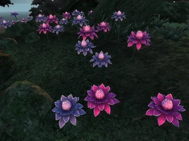 Lichor | Elder Scrolls | Fandom